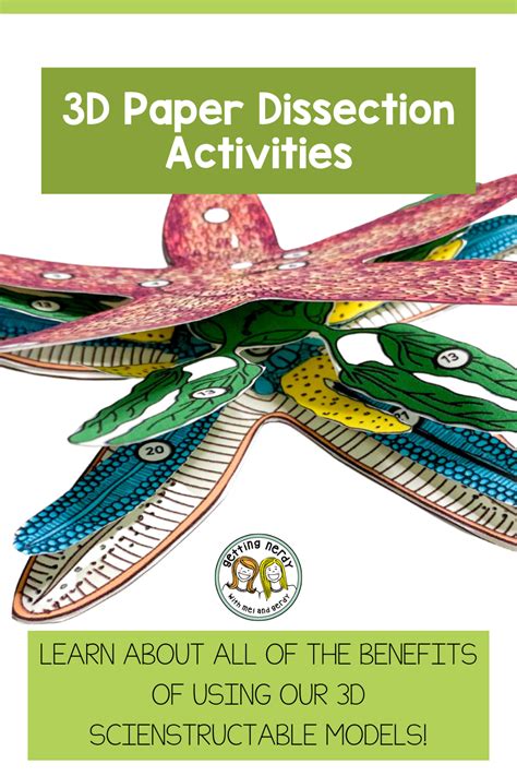 The Benefits Of Paper 3d Dissection Models Artofit