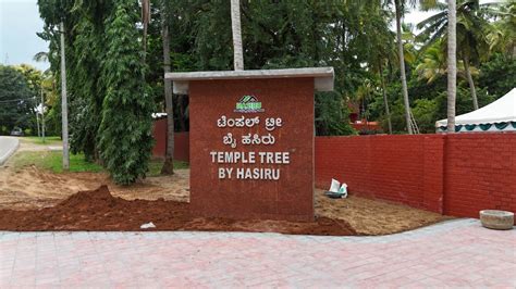 Temple Tree By Hasiru Hasiru Group