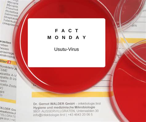 Usutu Virus Labor Dr Gernot Walder