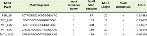Insulator Sequences Have Been Located On Hre Sequence Download Table