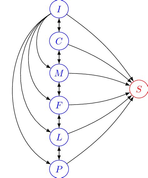 A Causal Model Illustrating Some Potential Dependencies Between Metric