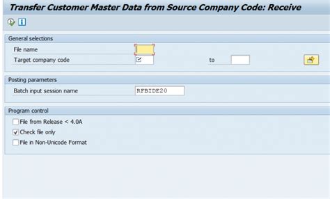 Transfer Customer Master Data From Source Company Code SAP