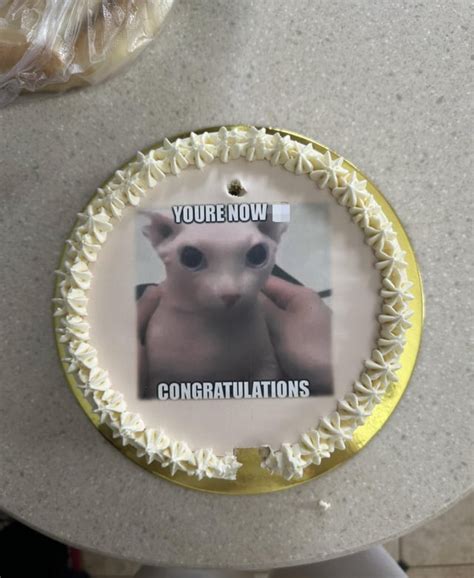 My Bingus Birthday Cake R Bingus