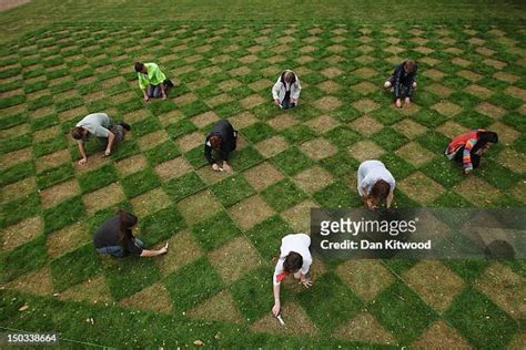Checker Pattern Grass Photos And Premium High Res Pictures Getty Images