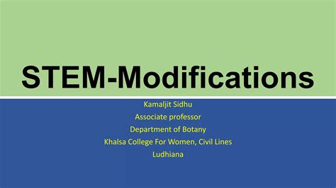 Modification Of Stem Pptx