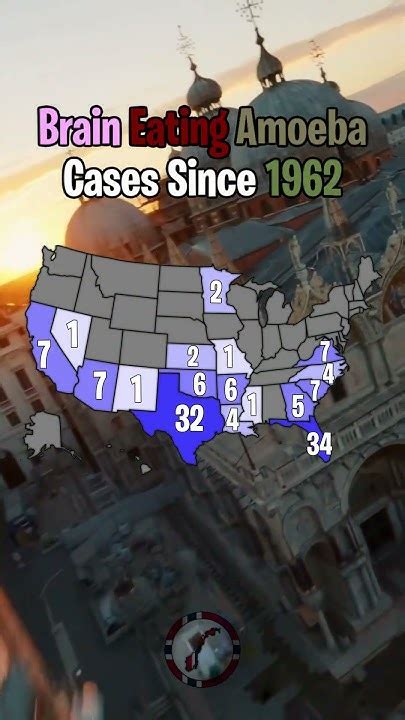 Brain Eating Amoeba Cases In The Usa Since 1962 Youtube
