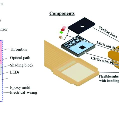 Schematic Of The Micro Optical Sensor Design A Cross Sectional View Download Scientific