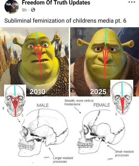 They Are Transvestigating Shrek And The Early Findings Are Concerning