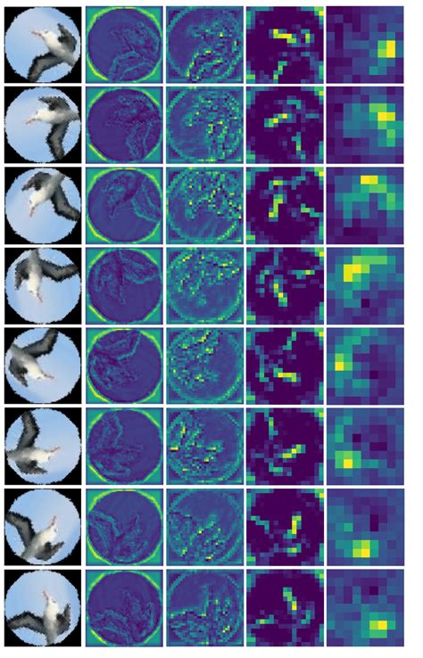 feature maps outputs from 4 blocks of implicitly equivariant ien r8