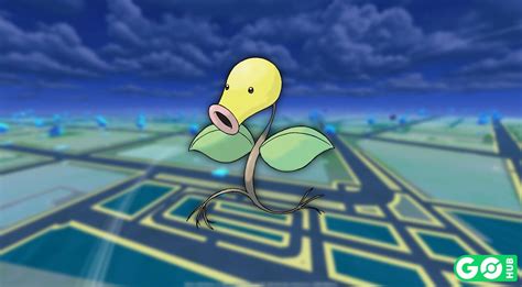 Bellsprout En Pokémon Go Mejor Moveset Counters E Ivs