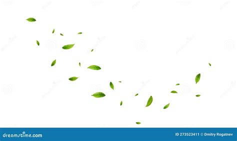 Green Leaves Fly With A Gust Of Wind Stock Vector Illustration Of