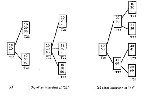 Physical Structuresdescriptionstarting From Point 00 On A Plane W