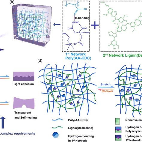 A All Solid State Double Network Ionic Conductors Adnics In The