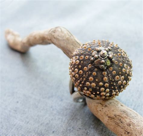 Sea Urchin Ring Sterling Silver Brown Sultan Ring Etsy Urchin