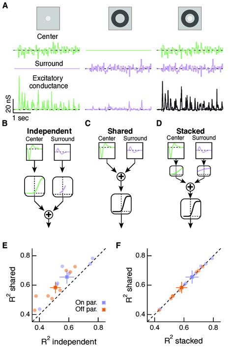 Linear Nonlinear Cascade Modeling Supports An Architecture Where Center