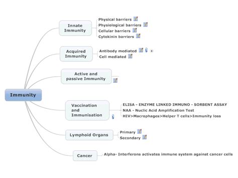 Immunity Mindmanager Mind Map Template Biggerplate