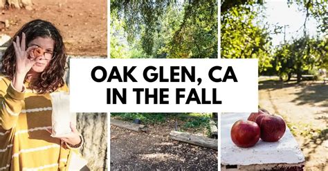 Oak Glen California In The Fall Apple Picking And Delicious Treats