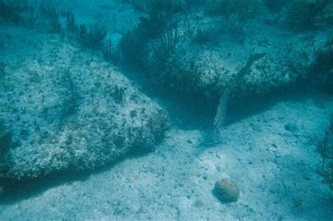 10 Mysterious Underwater Anomalies Listverse