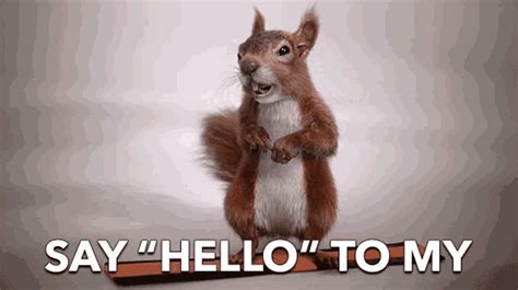 Say Hello To My Little Friend Hi  Sayhellotomylittlefriend Hello