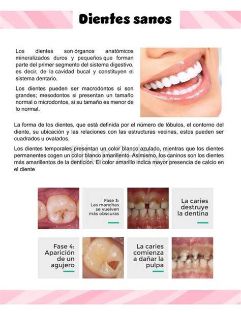 Dientes Sanos Ellen Zelaya Lainez Udocz