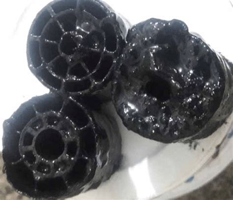 Low Density Polyethylene Ring Used As Support Material After Download Scientific Diagram