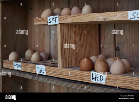 Self Sufficient Farmers Father And Son Team Dick And James Strawbridge