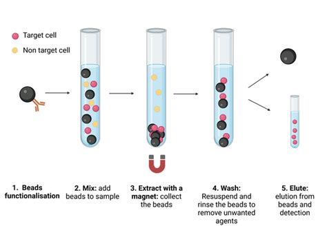 Cell Separation Magnostics