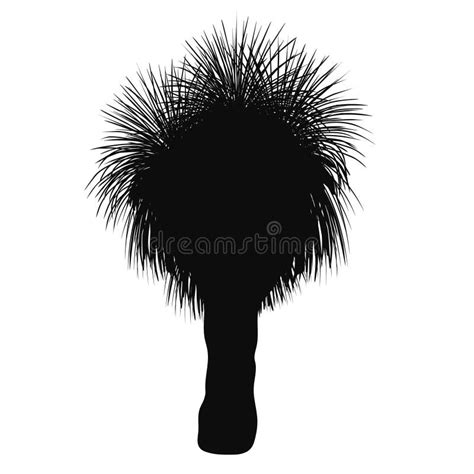 Xanthorrhoea Tree Vector Outline Silhouette Isolated Illustration The Grass Tree Native