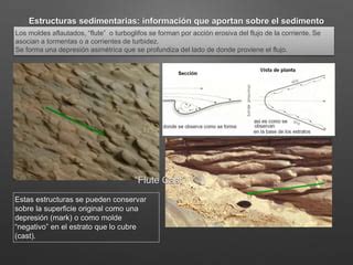 Estructuras Sedimentarias Pptx