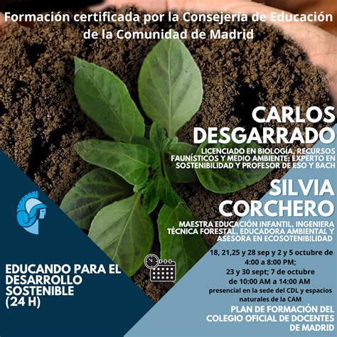 Educando Para Desarrollo Sostenible Oficina Virtual