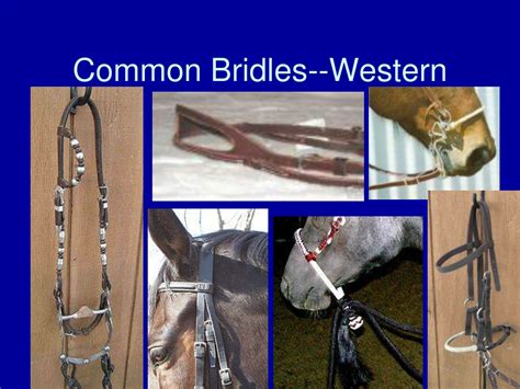Ppt Equine Tack Powerpoint Presentation Free Download Id9691173