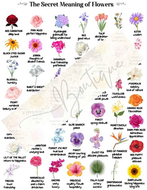 The Secret Meaning Of Flowers Botanical Symbolism Flower Club Gardener