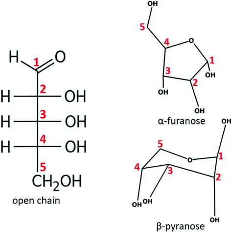 Ribose Ring Structure Dna Html