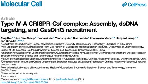 南科大医学院贾宁课题组与生命科学学院黄鸿达团队揭示细菌iv A型crispr Csf防御系统作用机制 南方科技大学生命科学学院