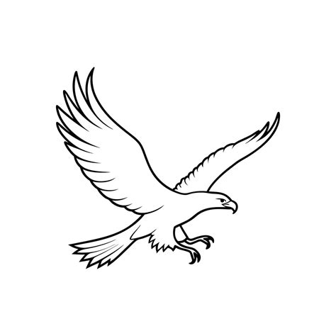 Eagle Flying Coloring Page 55211797 Vector Art At Vecteezy