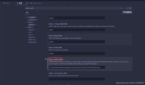 解决 Vscode 调试设置中的 Python 路径无效”（已解决）could Not Find Debugpy Path Csdn博客