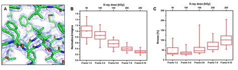 Microfluidic Chips For In Situ Crystal X Ray Diffraction And In Situ