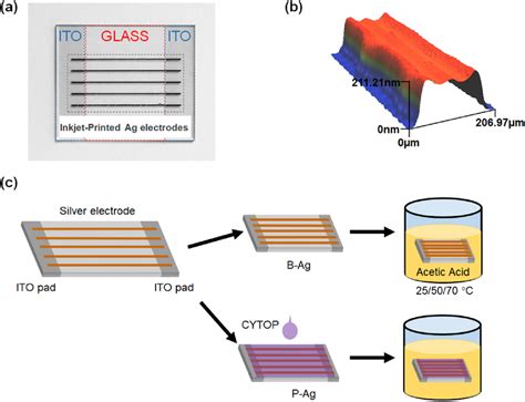 A Photo Of The Silver Electrode Printed On The Ito Patterned Glass