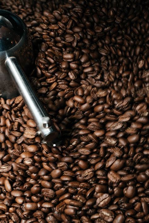 Food And Drinks — Buro Bonito