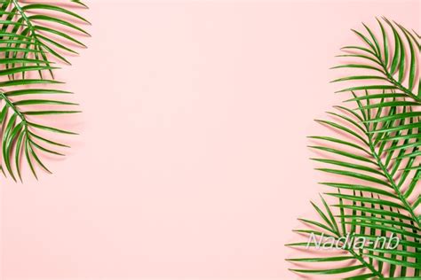 Green Leaves Pink Background At Frank Dugas Blog