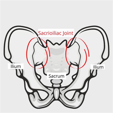 Sacroiliac Joint Pain Pregnancy Si Joint Pain And Pregnancy