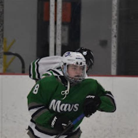 Dublin Jerome Hockey 14u Celts Gold Roster Pond Hockey Pond Hockey Spring 2024