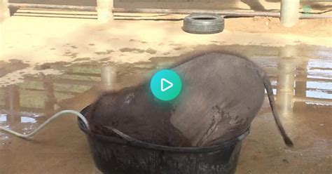 But Moooooom  On Imgur