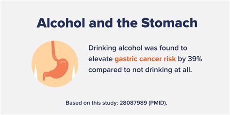 Digestive System Disruptions How Does Alcohol Affect Your Gut