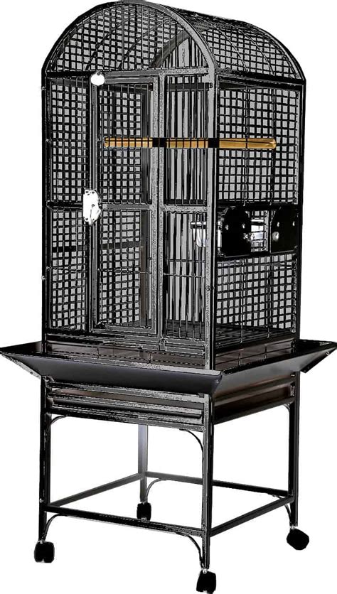 The 10 Best Bird Cages From Large To Small Parrots 2021