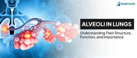 Bronchitis Causes Symptoms And Treatment Options