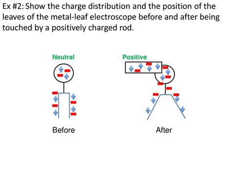 Solved An Electroscope Is Touched With A Positively Charged Object