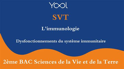 Dysfonctionnements Du Système Immunitaire