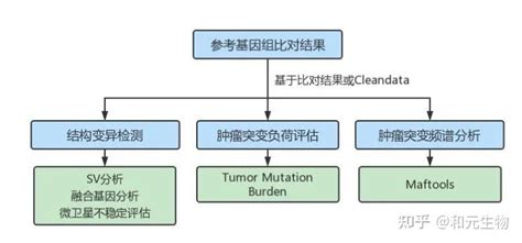 技术介绍 人类全外显子组测序 知乎