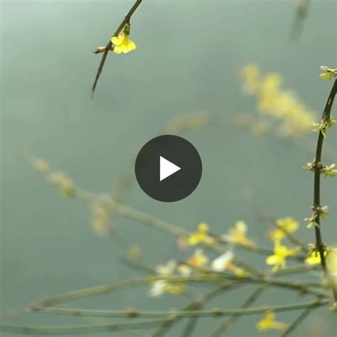 Fabulousfriday Feelgoodfriday Endtheweekstrong Pathtosucceed